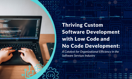Thriving Custom Software Development with Low Code and No Code Development